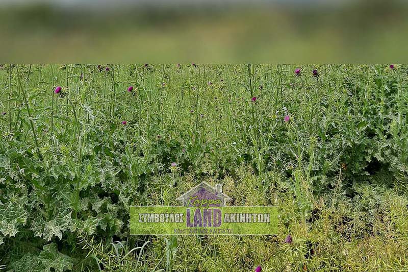 ΟΙΚΟΠΕΔΑ - ΑΞΙΟΠΟΙΗΣΙΜΗ ΓΗ | KAPPALAND | ΚΩΝΣΤΑΝΤΙΝΟΣ ΚΑΠΠΑΤΟΣ ...