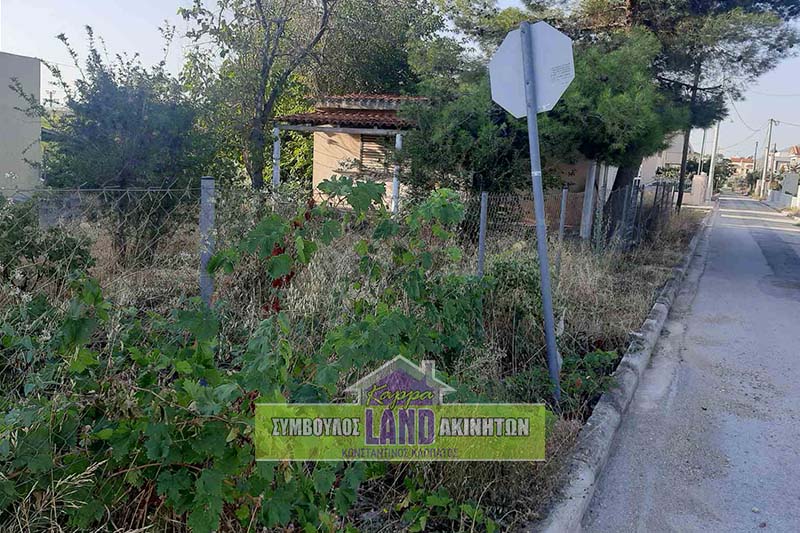 ΟΙΚΟΠΕΔΑ - ΑΞΙΟΠΟΙΗΣΙΜΗ ΓΗ | KAPPALAND | ΚΩΝΣΤΑΝΤΙΝΟΣ ΚΑΠΠΑΤΟΣ ...