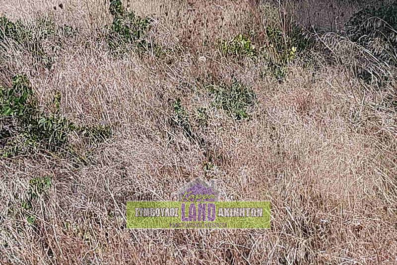 ΠΩΛΗΣΗ ΟΙΚΟΠΕΔΟ ΓΛΥΚΑ ΝΕΡΑ | KAPPALAND | ΚΩΝΣΤΑΝΤΙΝΟΣ ΚΑΠΠΑΤΟΣ ...