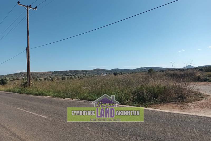 ΟΙΚΟΠΕΔΑ - ΑΞΙΟΠΟΙΗΣΙΜΗ ΓΗ | KAPPALAND | ΚΩΝΣΤΑΝΤΙΝΟΣ ΚΑΠΠΑΤΟΣ ...