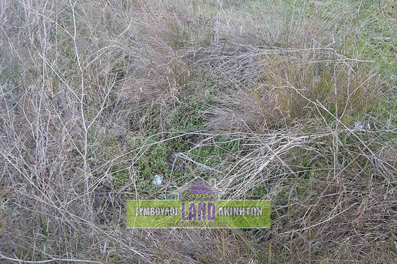 ΟΙΚΟΠΕΔΑ - ΑΞΙΟΠΟΙΗΣΙΜΗ ΓΗ | KAPPALAND | ΚΩΝΣΤΑΝΤΙΝΟΣ ΚΑΠΠΑΤΟΣ ...