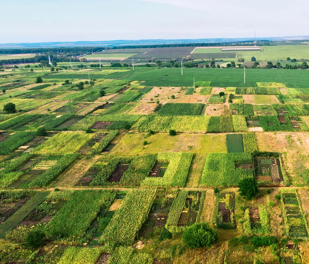 KAPPALAND | ΚΩΝΣΤΑΝΤΙΝΟΣ ΚΑΠΠΑΤΟΣ | ΣΥΜΒΟΥΛΟΣ ΑΚΙΝΗΤΩΝ